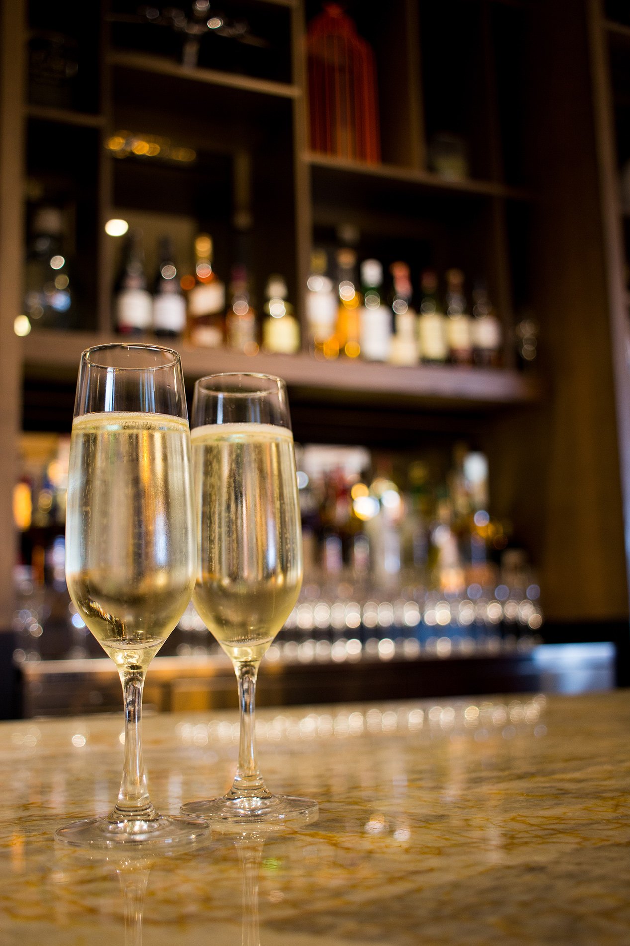 Bubbles & Beer — Drink Specials North York | Babel Restaurant